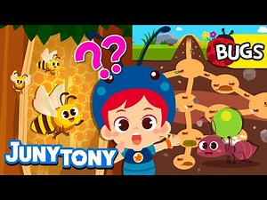 Homes of Insects | A Bug's Life | 🐝Honey Bees, Ant, Katydid🦗 | Insect Songs for Kids | JunyTony