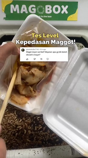 Si Maggot on TikTok