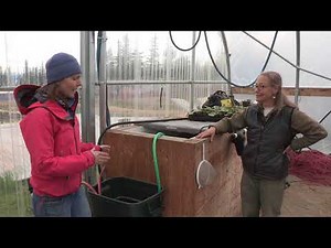 A Rainwater Catchment System for High Tunnels - In the Alaska Garden with Heidi Rader