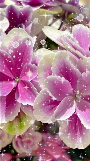 #浜田省吾/もうひとつの土曜日#june bride