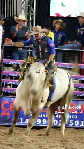 arenabrutaoficial no TikTok