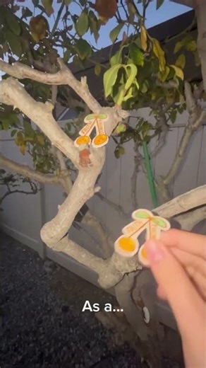 POV: We go fruit picking together! #stickerbusiness