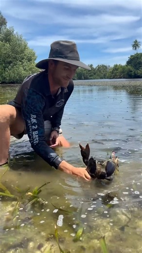 808K views · 5.2K reactions | One mistake and I could lose my finger  | Back 2 Basics Adventures | Facebook