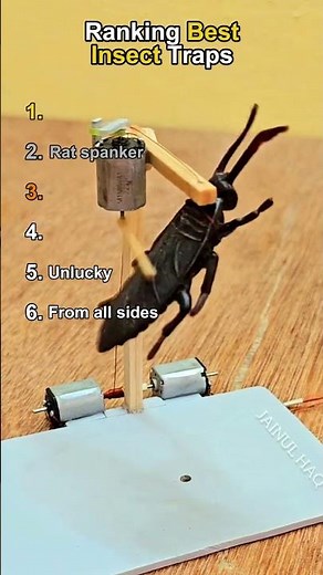 Ranking Best Insect Traps