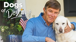 241 reactions · 66 shares | Joe Maguire has worn many hats, from Navy...