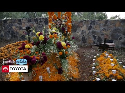 Meaning behind marigold flowers on Day of the Dead