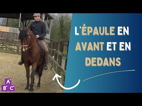⭐ Principe de l'épaule en dedans et de l'épaule en avant avec son cheval⭐