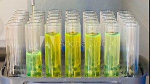 Green fluorescent compound is separated in automated machine. test tube fraction collection technique of column chromatography. Education and industrial concept.