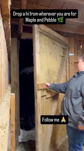 EQUINE RESCUE BARN 2 on Instagram: "🌎✨ Our cute rescue horses have one tiny request today… They want to hear a simple “hi” from wherever you are in the world! 🌍💛 These sweet babies came to us scared, unsure, and in desperate need of kindness — but they’ve learned that good people do exist. Each “hi” in the comments helps boost our rescue, keep our shelter seen, and show these horses just how many hearts are cheering them on. So whether you’re saying hi from your couch, your job, your car, you