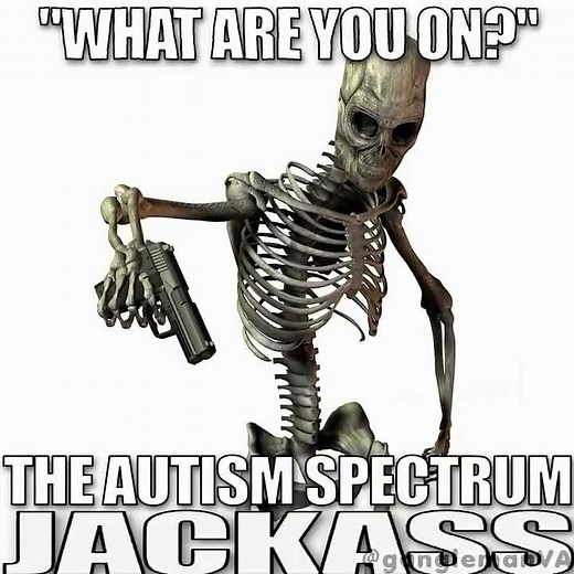 what are you on the autism spectrum skeleton meme