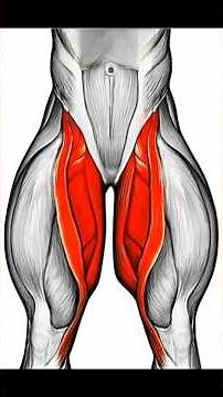 How to Build Ripped Inner Thighs Fast | Best Workouts to Burn Fat, Gain Muscle & Transform Your Legs