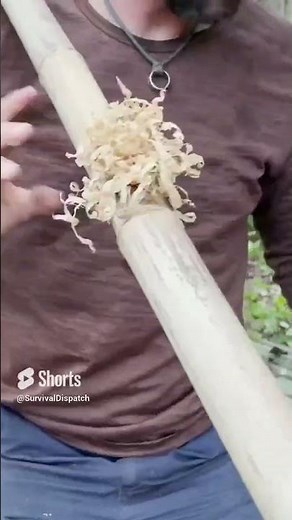 Primitive Survival Bamboo Shelter