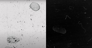 A New Free Pack of High-Res Glass Textures