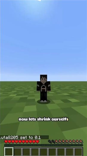 Minecraft with different sizes #minecraft