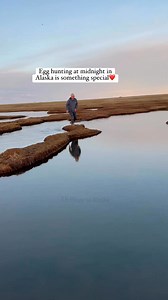 Doing this at midnight feels different. It is relaxing and peaceful. #pinaysaalaska #egghunting #alaskalifestyle #subsistence #fbreels2025 | Pinay sa Alaska