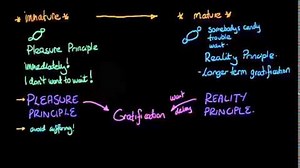 Freud - Death drive, reality principle, and pleasure principle