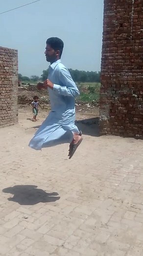 Majestic Duck Flying Compilation Video