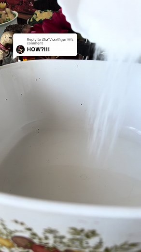 Flower cookies lady on TikTok