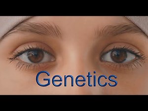 Genetics: Dominant and recessive traits