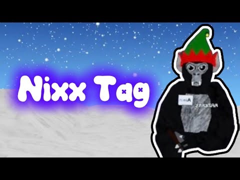 I made a Gorilla Tag copy.