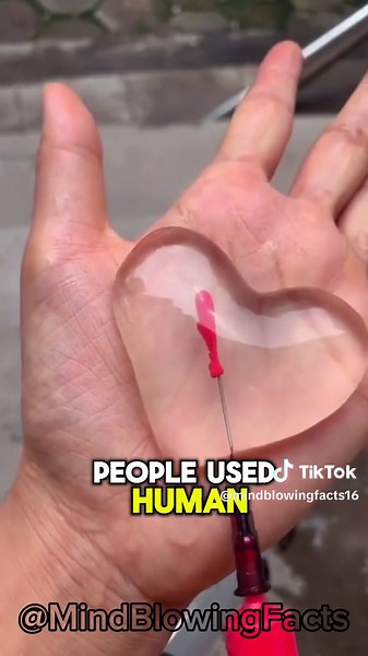 ⚠️ History Facts 🧠 Everyone must know the last one 💡 @Mind Blowing Facts 👈 Watch more #historyfacts #learnontiktok #factsyoudidntknow #history #facts #curiosities #satisfying #relaxing