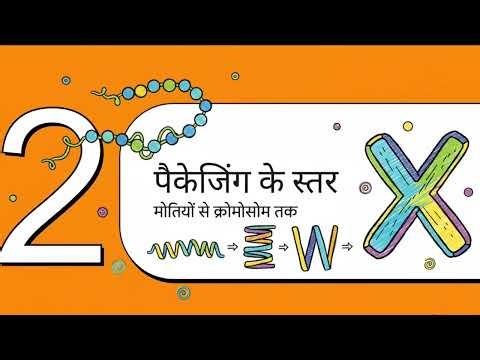 ,🧬🔬DNA Packaging in Eukaryotes | CBSE Class 12 BiologyIs 🔬🧬