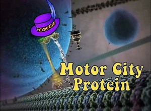 177K views · 7K reactions | Trust me, I'm a "Biologist" on Reels | Facebook