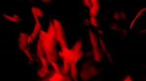 THAT'S THE WAY WE LIKE IT Lyrics - DJ CLUE | eLyrics.net