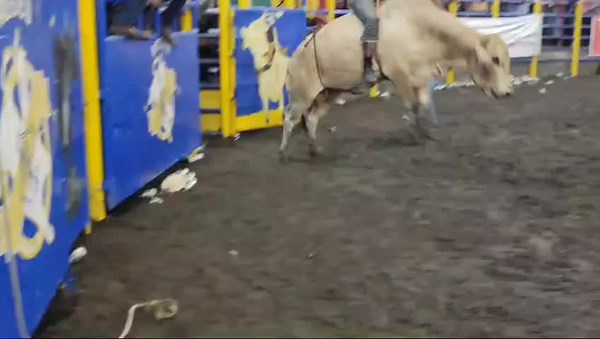 Exciting Indoor Bull Riding Event Highlights