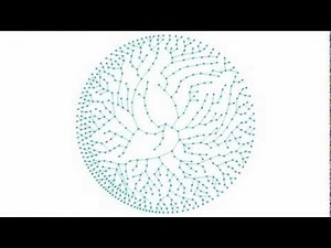 Galton-Watson process, polar geometry