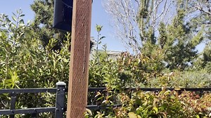 Watch Solar Powered Outdoor String Lights Review on Amazon Live