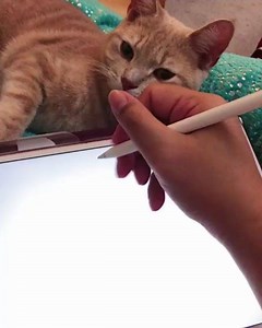 In quanti di voi hanno la futures "gattorompino" installato sul proprio iPad? Seguite anche voi rdg ovvero Roba da gatti...Hamm.. grafici , volevo dire grafici.... #Repost @gracecallidesigns • • • • • I would like to introduce all of you to Jammy Dodger, aka, The Face of Evil. He will attack...but will get bored and lose interest after a few seconds. This is what I have to deal with everyday 😼 Materials used: iPad Pro, Apple Pencil, @procreate app, pointed pen brush from halfapx.com and iPad ca