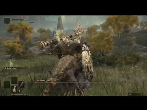 beating tree sentinel as a lvl 1 wretch