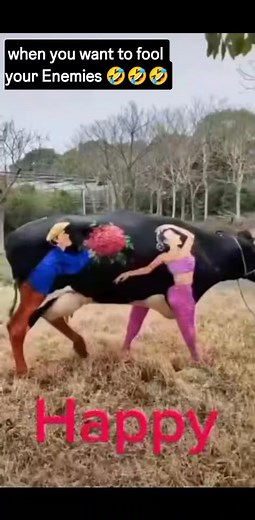 when u want to fool ur enemies �� | Evans Ratty