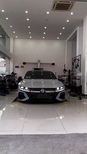 Nientesla trên TikTok