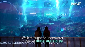 31K views · 44 shares | Take your Dubai trip to new heights at the...