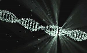 Evolution Observed in Fish in a Single Generation | Genetics And Genomics