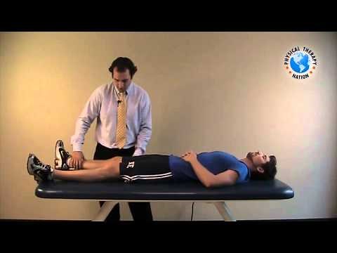 Hip Scour Test