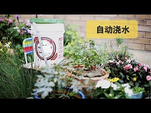【自动浇水】43•园艺/非常简单，无需任何特殊工具，也不用装水龙头，还不花钱的自动浇灌系统