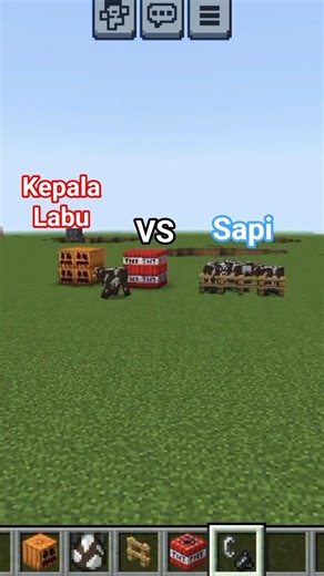 aku membuat tantangan kepala labu vs sapi di Minecraft #anresta #shorts