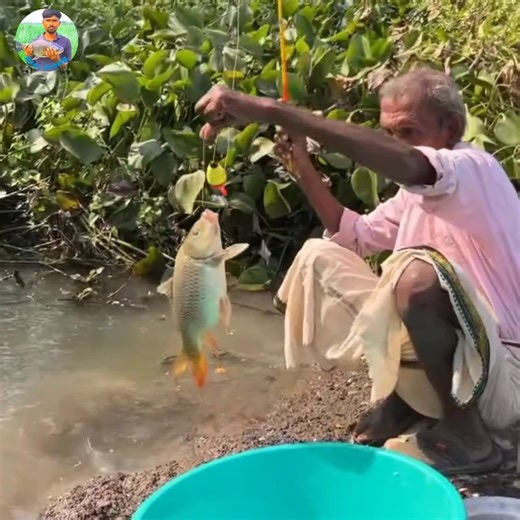 Wow catching golden fish with hook fishing video 🎣 #fishingtechniques #raaz_fishing #shorts