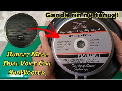 Hybrid 8 INCH Subwoofer (ASW-880WI) Review & Soundcheck!