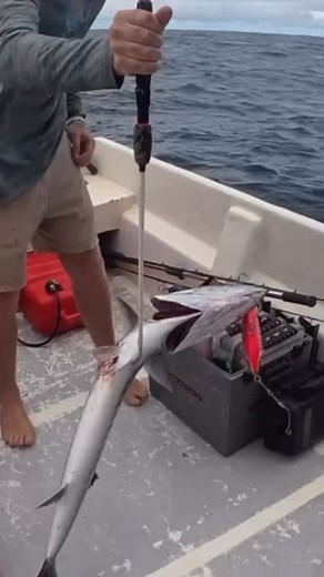 That has got to hurt! 😳😳 #fishing #hook #floridakeys #keywest #thekeys #keyssocial | Keys Social