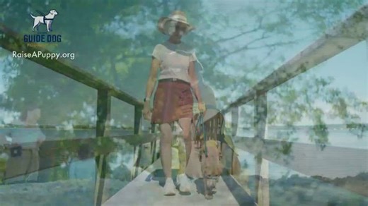 Guide Dog Foundation TV Spot, 'Looking for Volunteers'