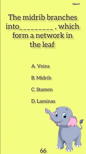 66 Getting to know Plants Class 6 #science #shorts #nmms #iso