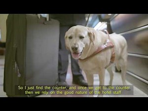 Taking the Lead: How does a Guide Dog know where to go?