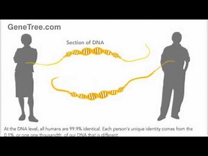 The Four Types of DNA