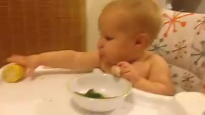 More about Baby Led Weaning: It's common to worry about bub choking on food or even not being able to chew it properly if they don't have teeth yet. Squidge is 9.5mths, has no teeth and has no problem with food. Occasionally she'll gag on something but that is part of the process and a baby's gag reflex is so strong and sensitive that they actually gag on food before it becomes a choking hazard. A baby will gag the offending piece of food up and then turn around and try it again! I don't think t