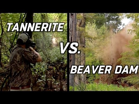 Tannerite vs. Beaver Dam
