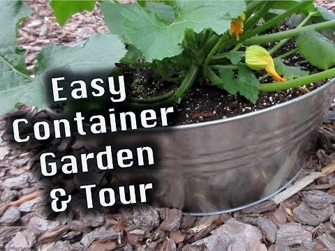 Easy Container Garden, Tips & Tour